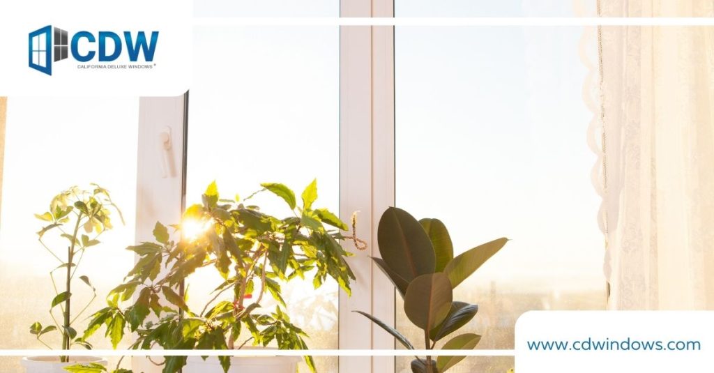 Garden Windows: Elevate Your Plant Love | California Deluxe Windows